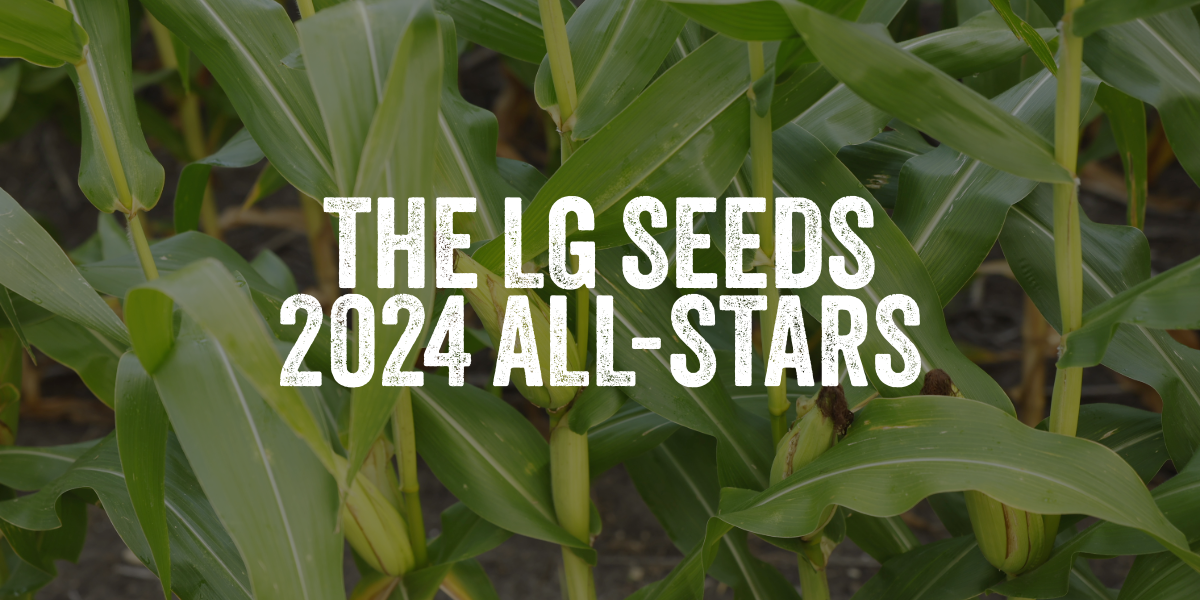 The LG Seeds 2024 All-Stars