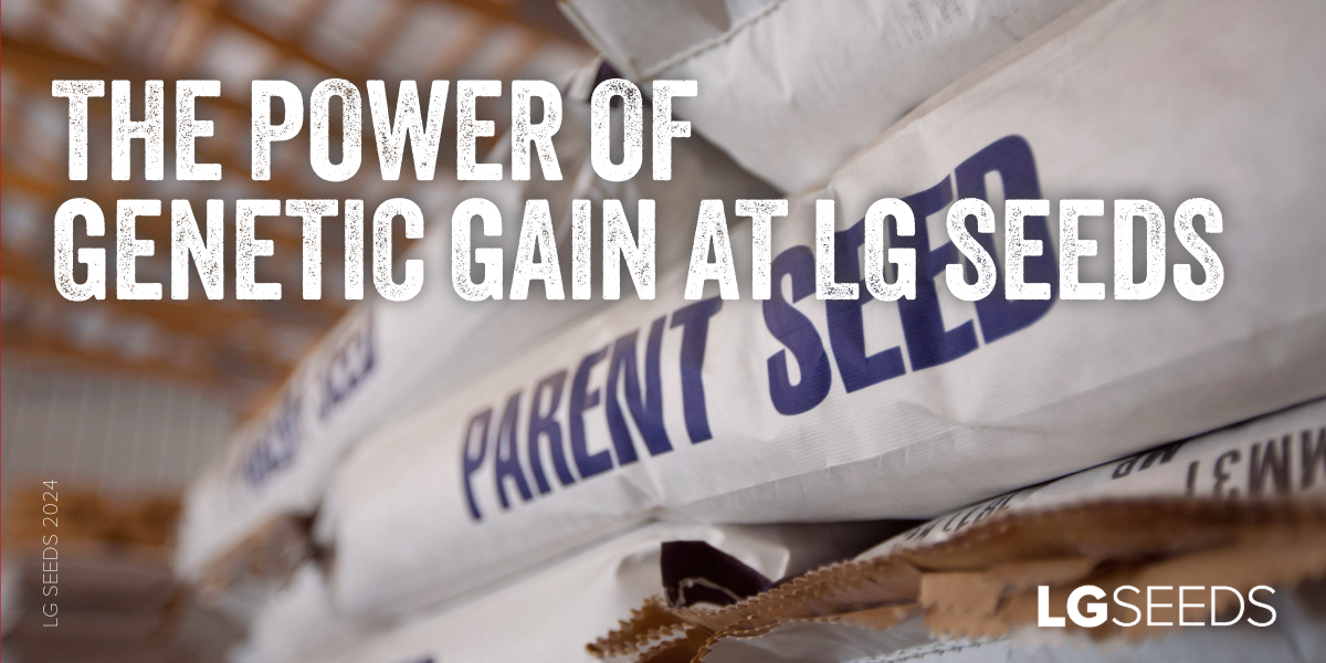 The Power of Genetic Gain: Elevating Crop Performance with LG Seeds