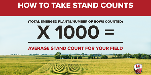Making it Count: Evaluate Your Crop by Taking Reliable Stand Counts