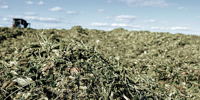 Home [www.lgseeds.com]