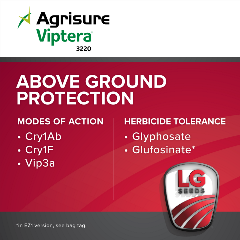 Corn Traits 101: Everything You Need to Know About Corn Trait Choices