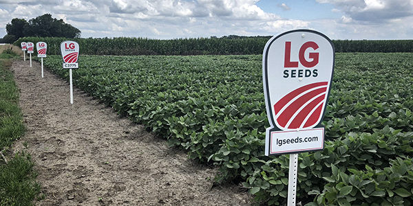 Why Plots Still Matter