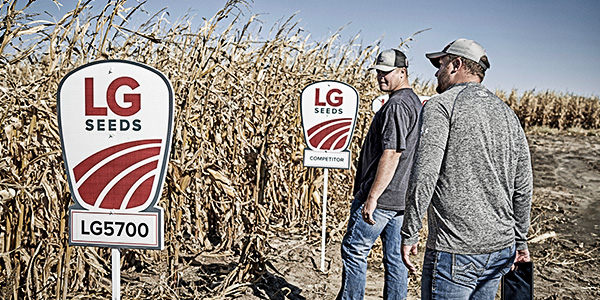 Hybrids That Deliver