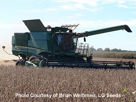 High-yielding Soybeans