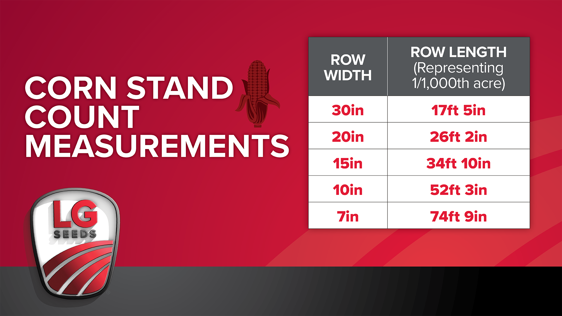 How To Check Corn Emergence and Stand Count After Planting