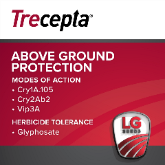 Corn Traits 101: Everything You Need to Know About Corn Trait Choices