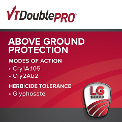 Corn Traits 101: Everything You Need to Know About Corn Trait Choices