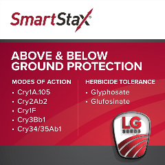 Corn Traits 101: Everything You Need to Know About Corn Trait Choices