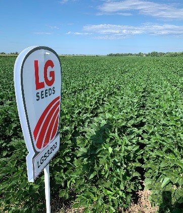 September Crop Progress in the Eastern Corn Belt