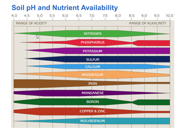 Is Your pH Where It Needs To Be? - Prolime Agriculture