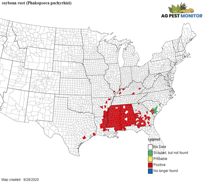 Soybean Rust - Watchouts for Farmers